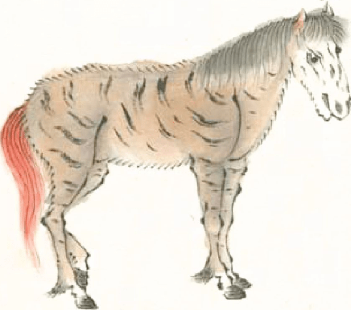 Lushu/鹿蜀: The Auspicious Creature in Chinese Mythology - Chinese Weird ...